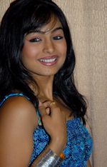 Kalyani Telugu Actress Photos / Kalyani - Bollywood Photos