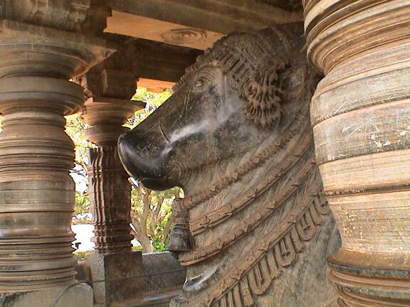 Side view of the Nandi / 2004 Jan 25-26 Belur-Halebid-Shravanbelagola ...