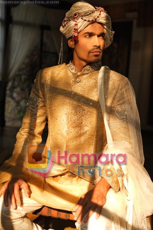 Shawar Ali at Anjalee & Arjun Kapoor collection 01 (Large) / Shawar Ali ...