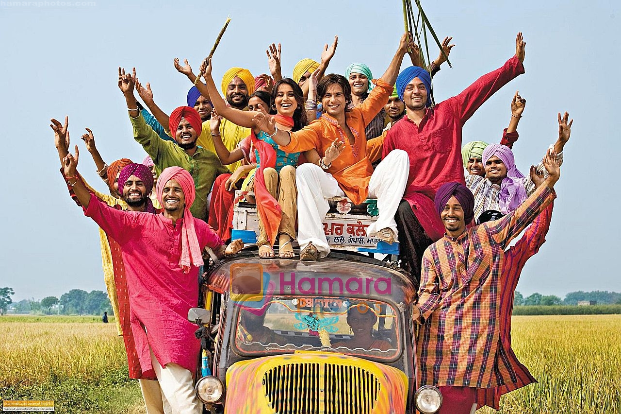 Rani Mukherjee, Shahid Kapoor in the still from movie Dil Bole Hadippa ...