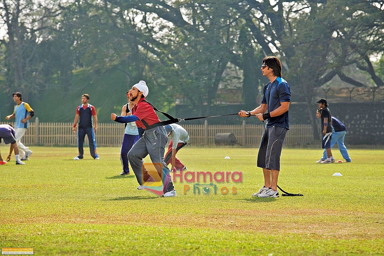Rani Mukherjee, Shahid Kapoor in the still from movie Dil Bole Hadippa ...