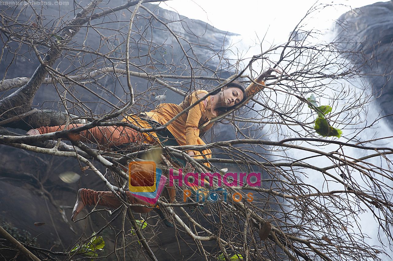 Aishwarya Rai Bachchan in the still from movie Raavan / Raavan ...