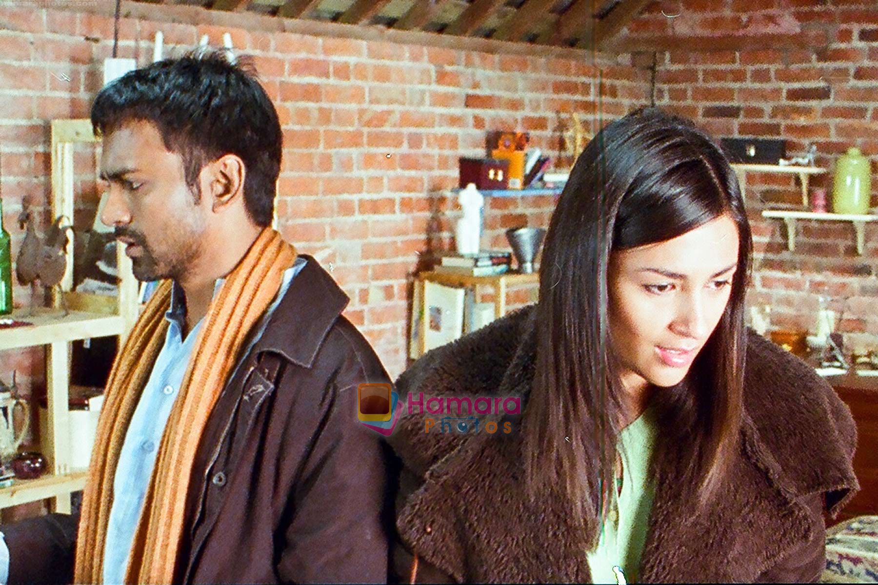 Aruna Shields / Aruna Shields - Bollywood Photos