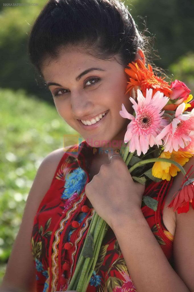 Tapsi Glam Shoot / Taapsee Pannu - Bollywood Photos