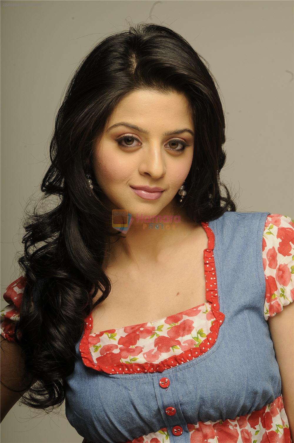 Vedika Photoshoot / Vedika - Bollywood Photos