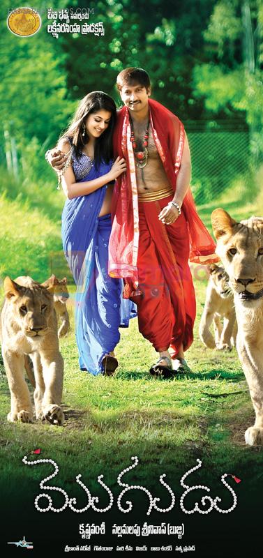 Mogudu Movie Wallpaper / Mogudu Movie Wallpaper - Bollywood Photos