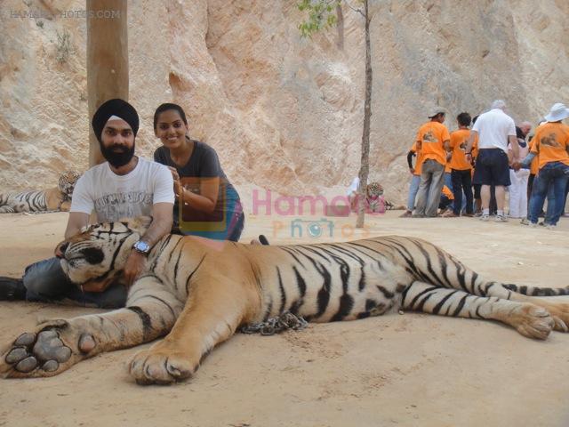 AD Singh tames full grown Tigers in tiger temple, a place on the remote ...