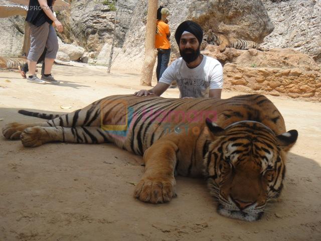 AD Singh tames full grown Tigers in tiger temple, a place on the remote ...