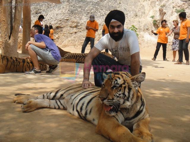 AD Singh tames full grown Tigers in tiger temple, a place on the remote ...
