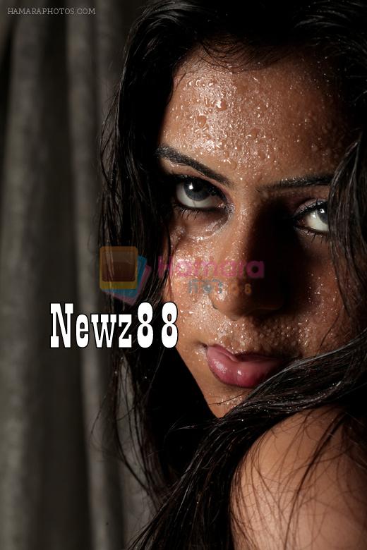 sheena sharma / Sheena Sharma - Bollywood Photos