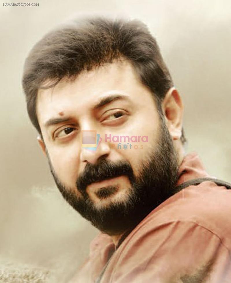 Arvind Swamy / Arvind Swamy - Bollywood Photos