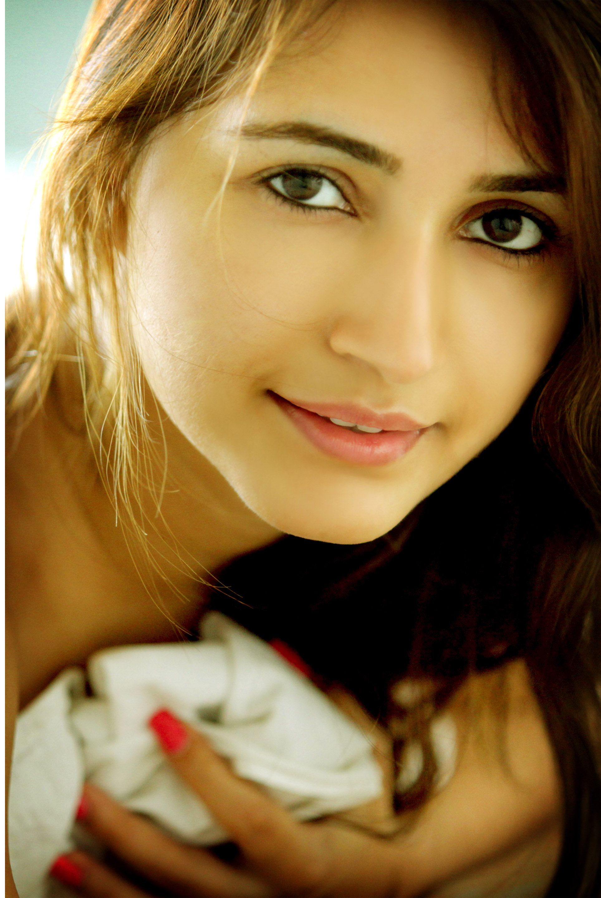 Dhriti Saharan / Dhriti Saharan - Bollywood Photos