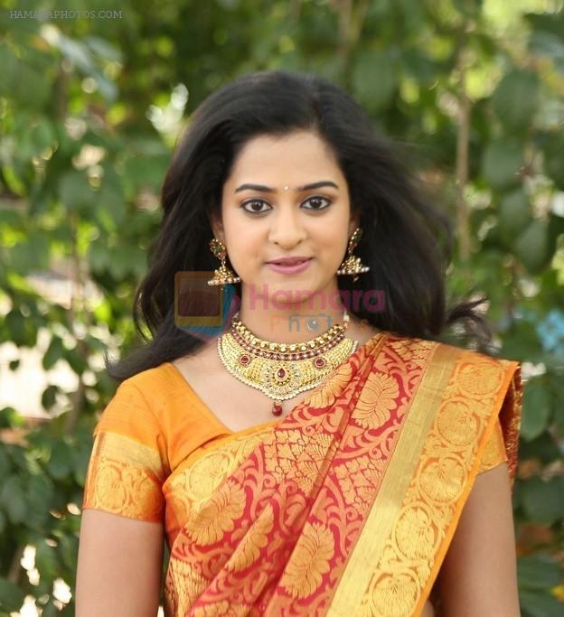 Nanditha Photos / Nanditha - Bollywood Photos
