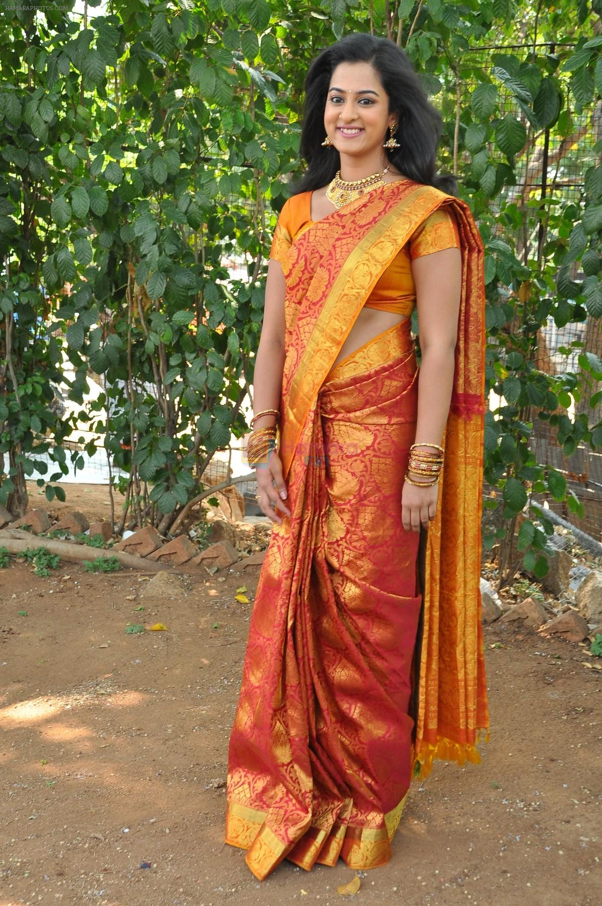 Nanditha / Nanditha - Bollywood Photos