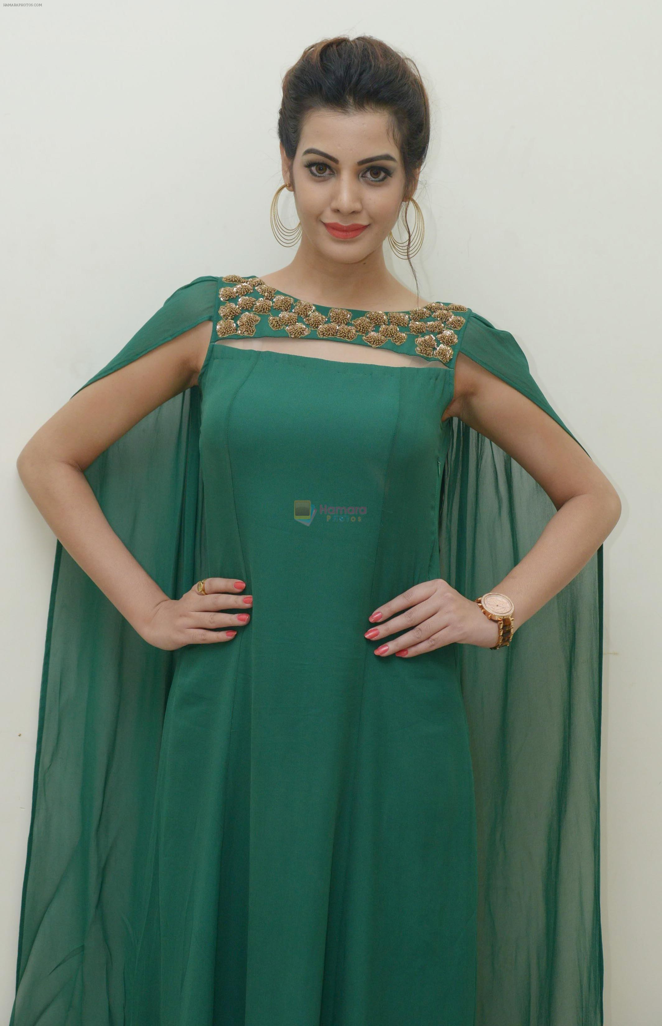 Diksha Panth Photoshoot / Diksha Panth - Bollywood Photos