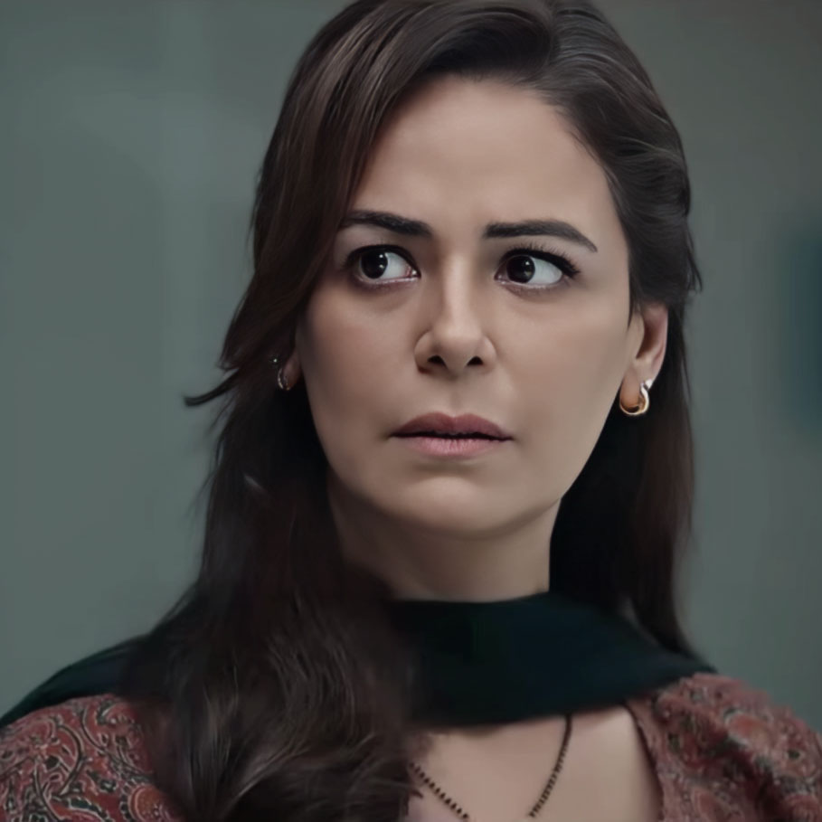 Mona Singh Discusses OTT Rise Challenges Theatre Industry