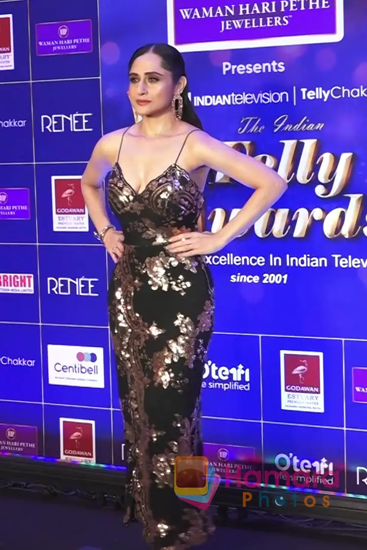 The Indian Telly Awards 2025: Hunar Gandhi