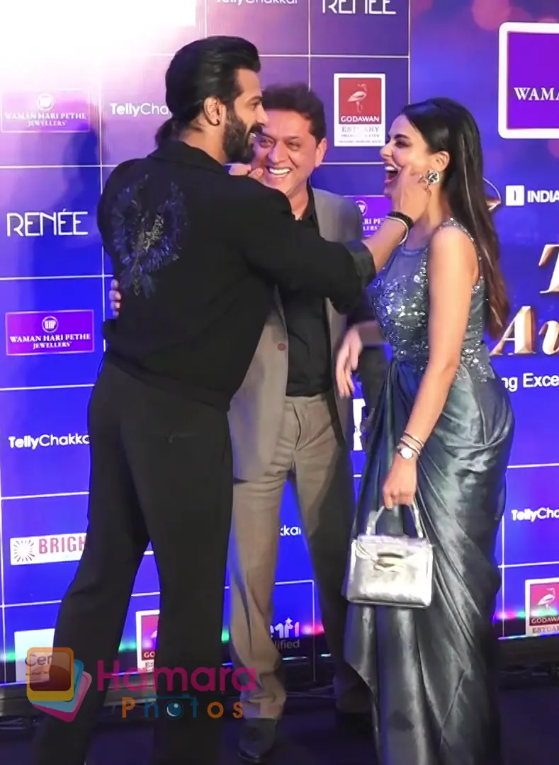 The Indian Telly Awards 2025: Karan Veer Mehra