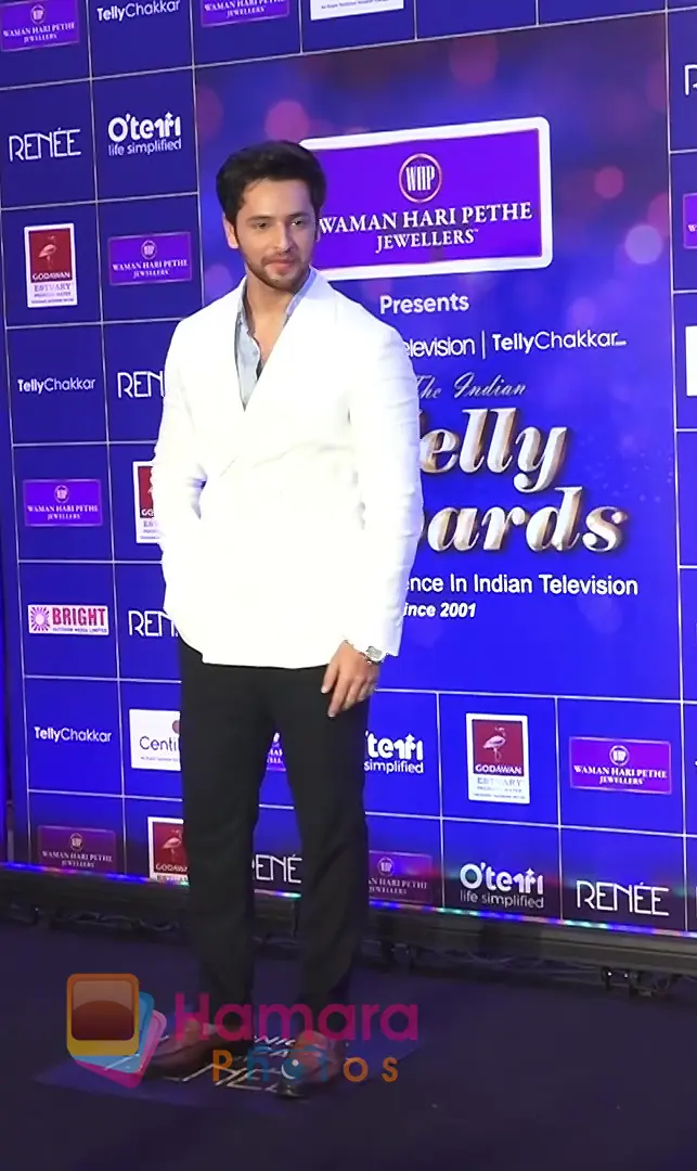 The Indian Telly Awards 2025: Shivam Khajuria