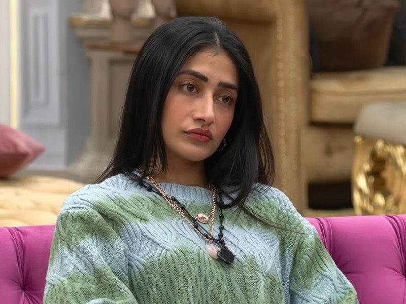 Rise and Fall: Dhanashree, Nayandeep, Arbaz Clash in Ruler Pitch